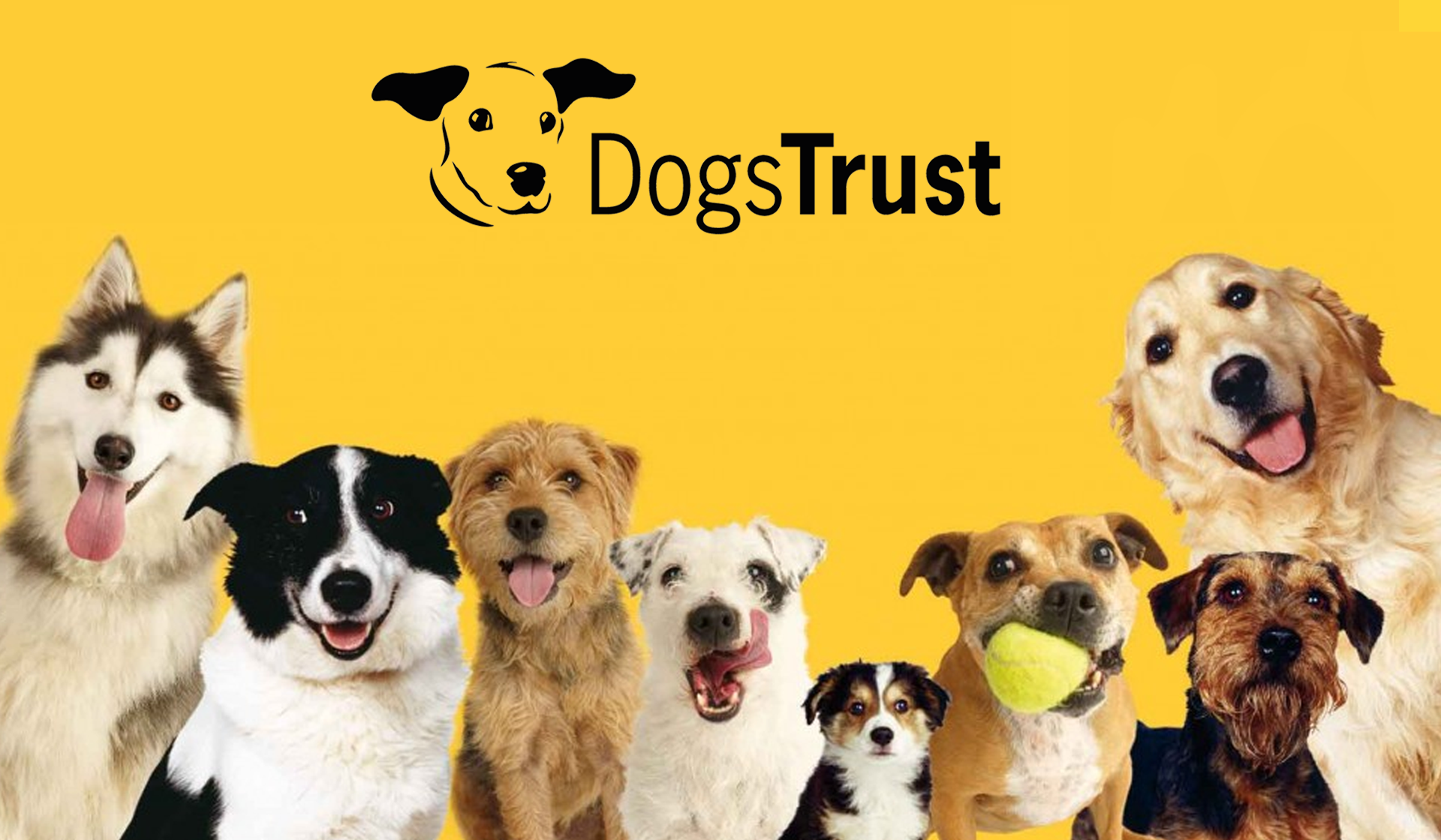 Dogs Trust | Orthovet doo Bihać
